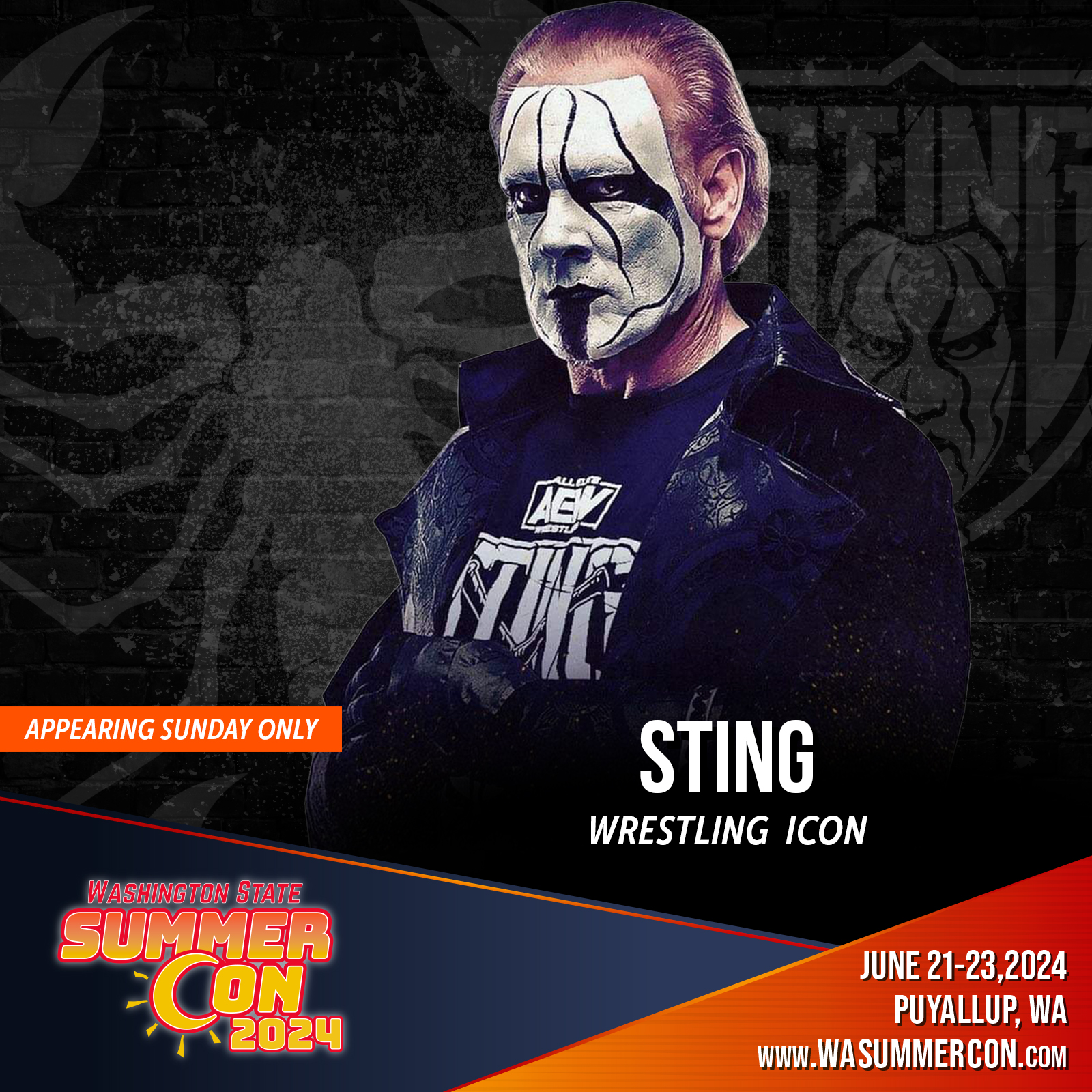 Entertainment Guests Archives - Washington State Summer Con